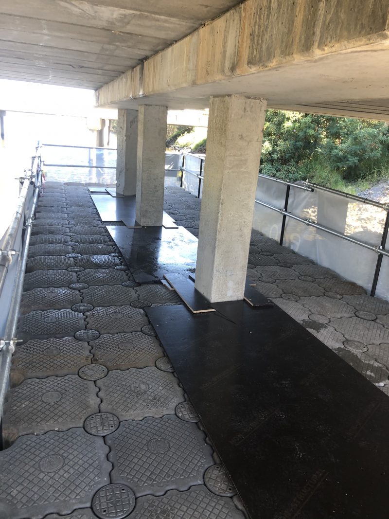 Cassowary Drive Bridge Rehabilitation - Ecospec